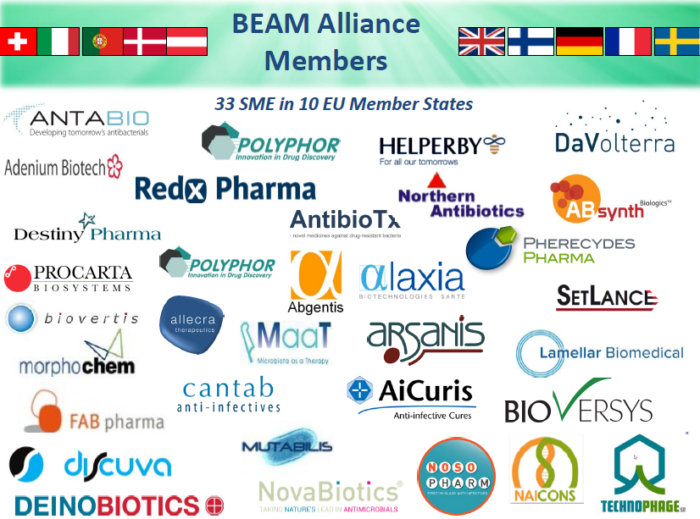 Adhesion of SetLance to BEAM Alliance - Setlance